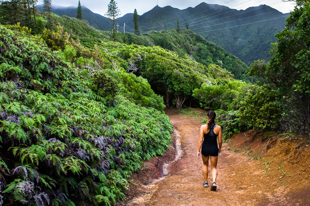 Hiking the Wiliwilinui Ridge Trail Hike on Oʻahu, Hawaiʻi