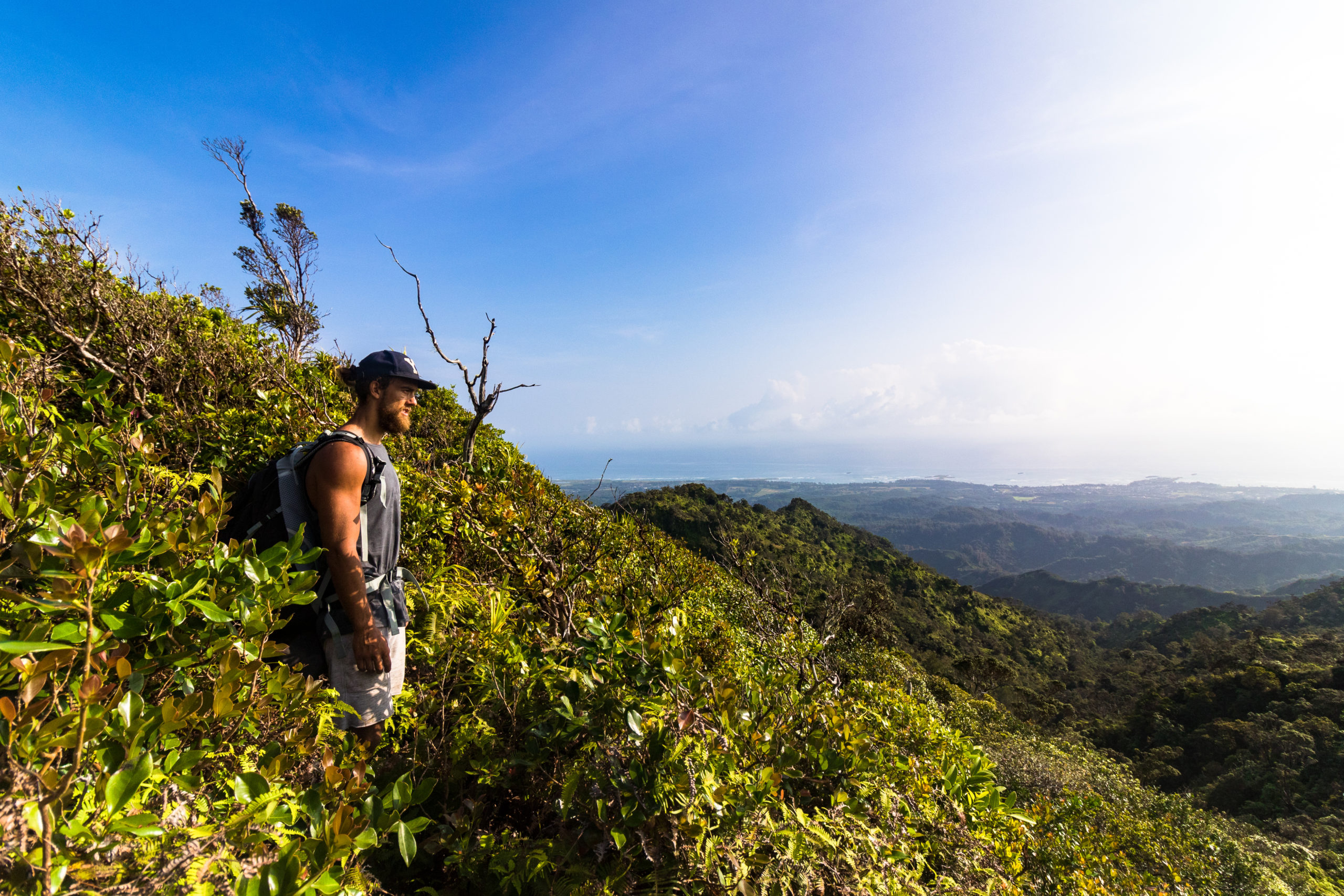 My Failed Koolau Summit Attempt On Oahu, Hawaii