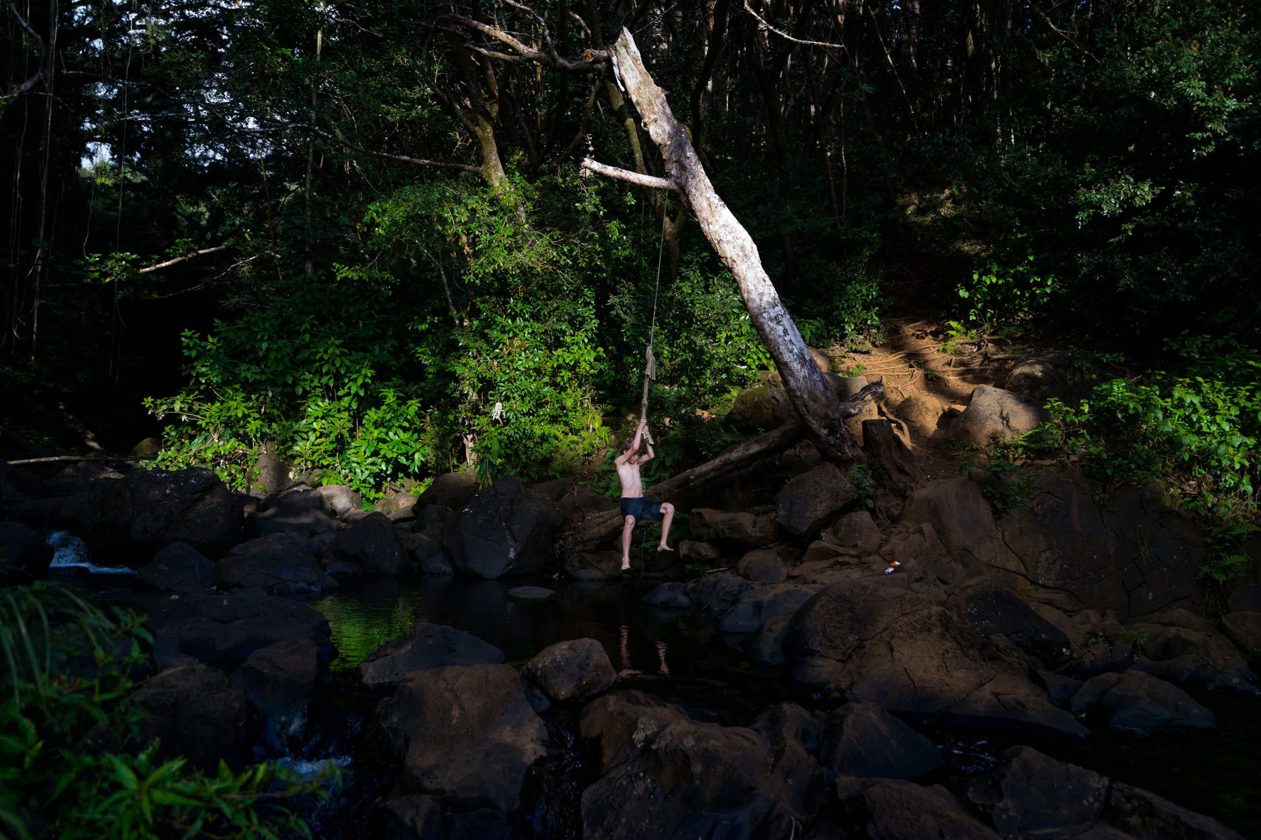 The Judd Trail & Jackass Ginger Pool On Oahu, Hawaii