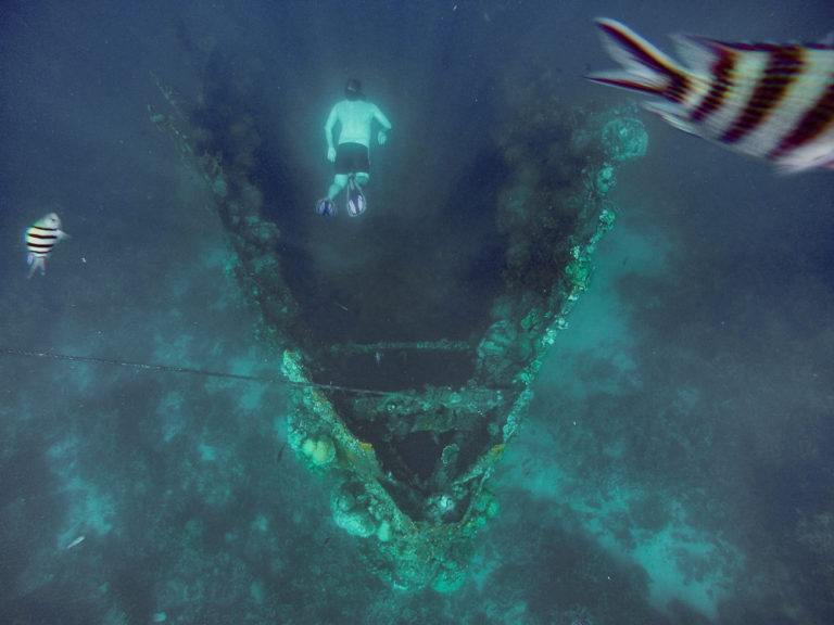 Skeleton Wreck in Coron, Palawan: Best Shipwreck Dive Site