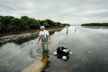 Crabbing In Adelaide: A Guide To Raking For Blue Crabs