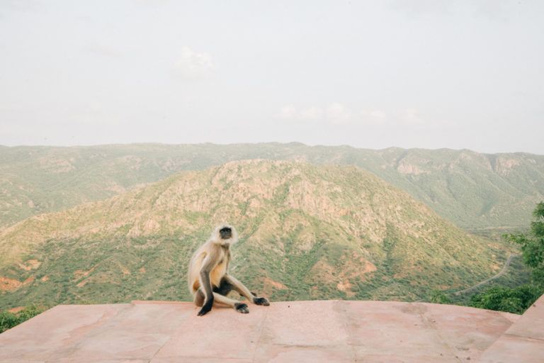 Savitri Temple Hike In Pushkar: Hindu Pilgrimage Site