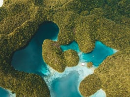 9 Awesome Cliff Jumping Spots In Siargao, Philippines
