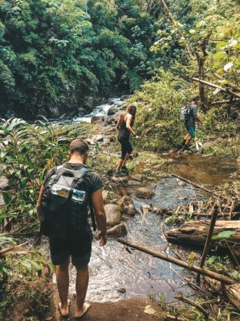 Hiking the Makaleha Falls Trail on Kauaʻi, Hawaiʻi