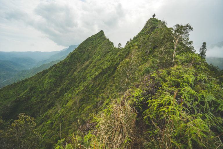 Hiking the Okolehao Trail In Hanalei on Kauaʻi, Hawaiʻi