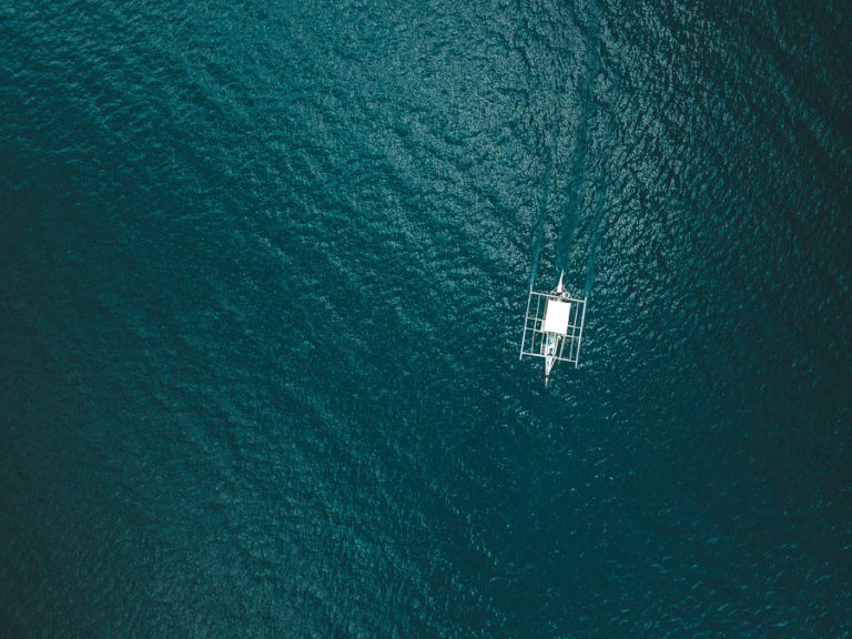Donsol Whale Shark Interaction In The Philippines