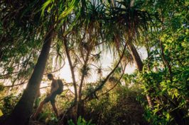 Binucot Beach Viewpoint & Sunset Spot On Tablas Island - Journey Era