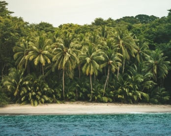 THE STAIRWAY TO HEAVEN OAHU, HAWAII: UPDATED 2018 - Journey Era