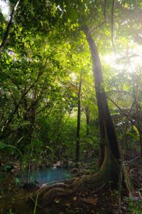 Cebaco Island In Veraguas: The Complete Visitor's Guide