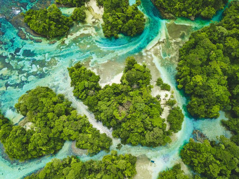 Isla Escudo De Veraguas In Panama: The Ultimate Guide