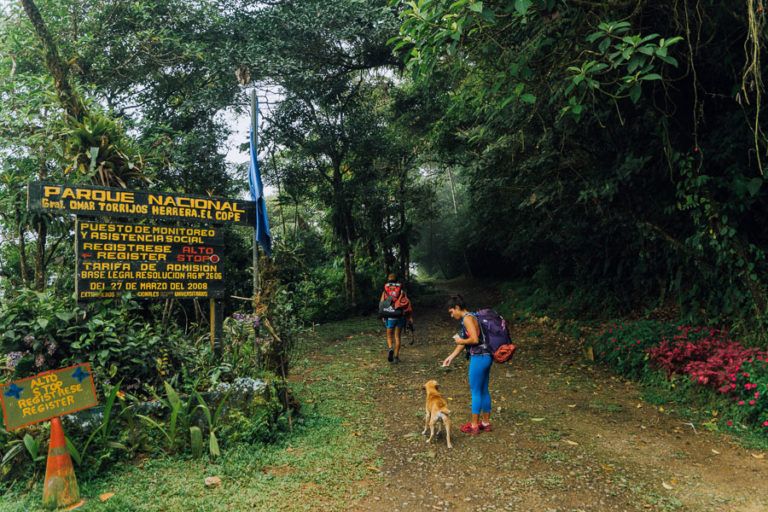 Thirty-Kilometer Tife Waterfall Trek In Panama