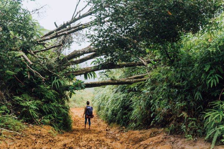 30KM TREK TO TIFE WATERFALL IN PANAMA - Journey Era