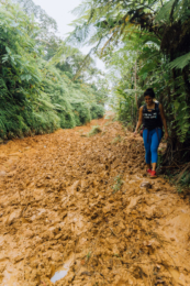 Thirty-Kilometer Tife Waterfall Trek In Panama