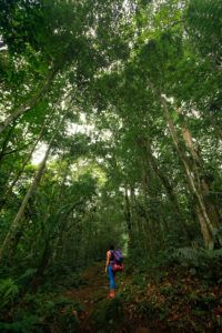 Thirty-Kilometer Tife Waterfall Trek In Panama