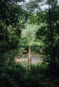 Thirty-Kilometer Tife Waterfall Trek In Panama