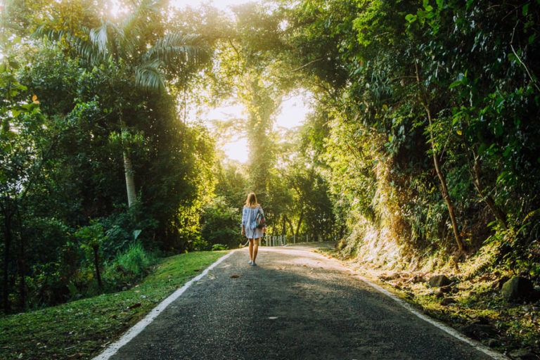 Ancon Hill Viewpoint Hike (Cerro Ancon) In Panama City