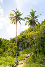 Cambais Falls In Alegria, Cebu: Complete Guide