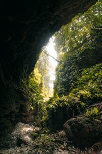Tembeling Beach, Natural Pool & Forest on Nusa Penida