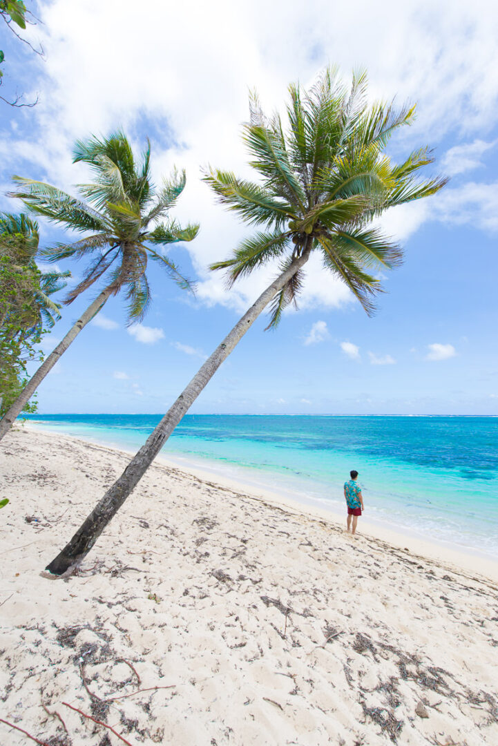 Alegria Beach On Siargao Island: Complete Guide