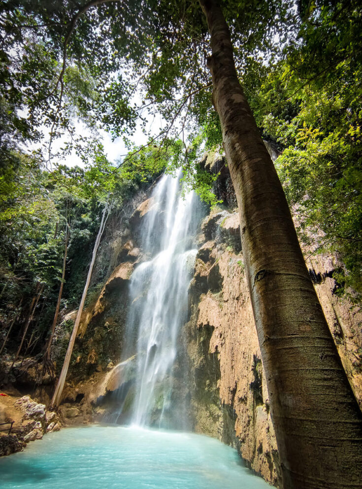 5 Best Things To Do In Oslob, Cebu: The Ultimate Guide