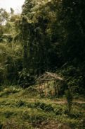 Cancalanog Falls In Alegria, Cebu: Complete Guide