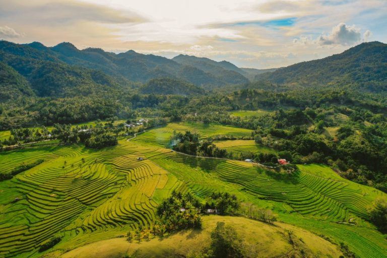 The Cadapdapan Rice Terraces in Candijay, Bohol: Complete Guide