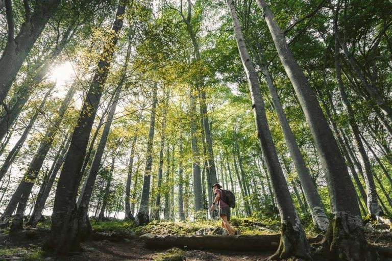 Hiking the Schäfler Ridge Trail & Schäfler Mountain Hut in Alpstein ...