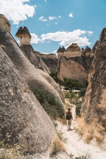 Pasabag Valley (Monks Valley) Fairy Chimneys In Cappadocia