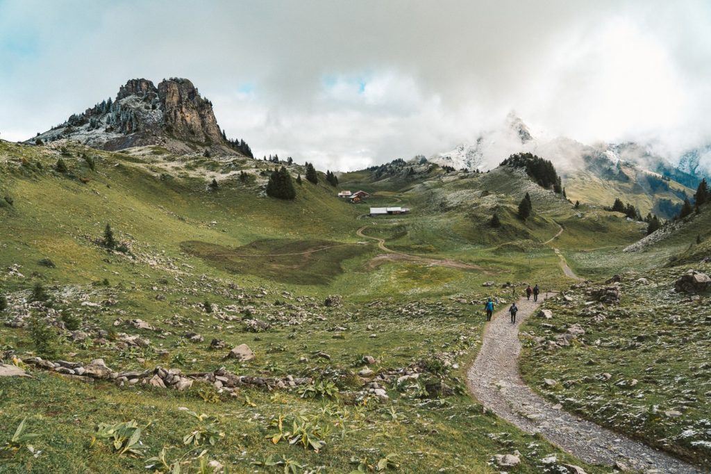 Schynige Platte Hike to Faulhorn to First: Complete Guide