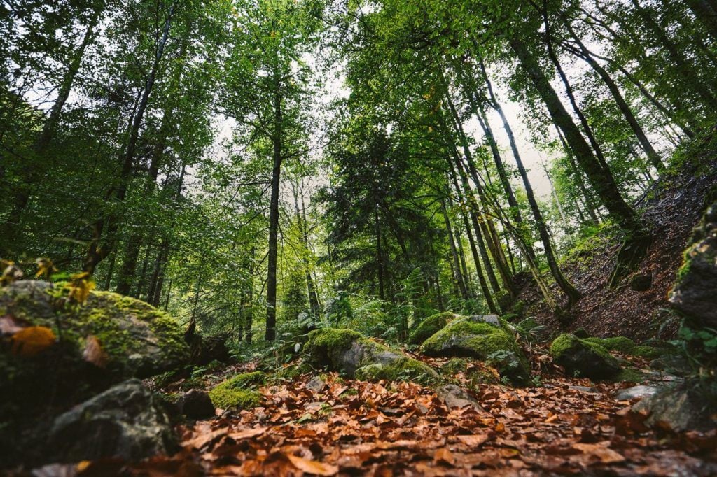 Hiking the Aa Gorge Trail in Engelberg, Switzerland