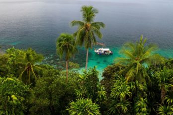 100 Awesome Photos of Papua New Guinea