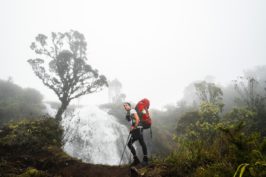 Trekking to Mount Wilhelm Summit (4,509m) in Papua New Guinea