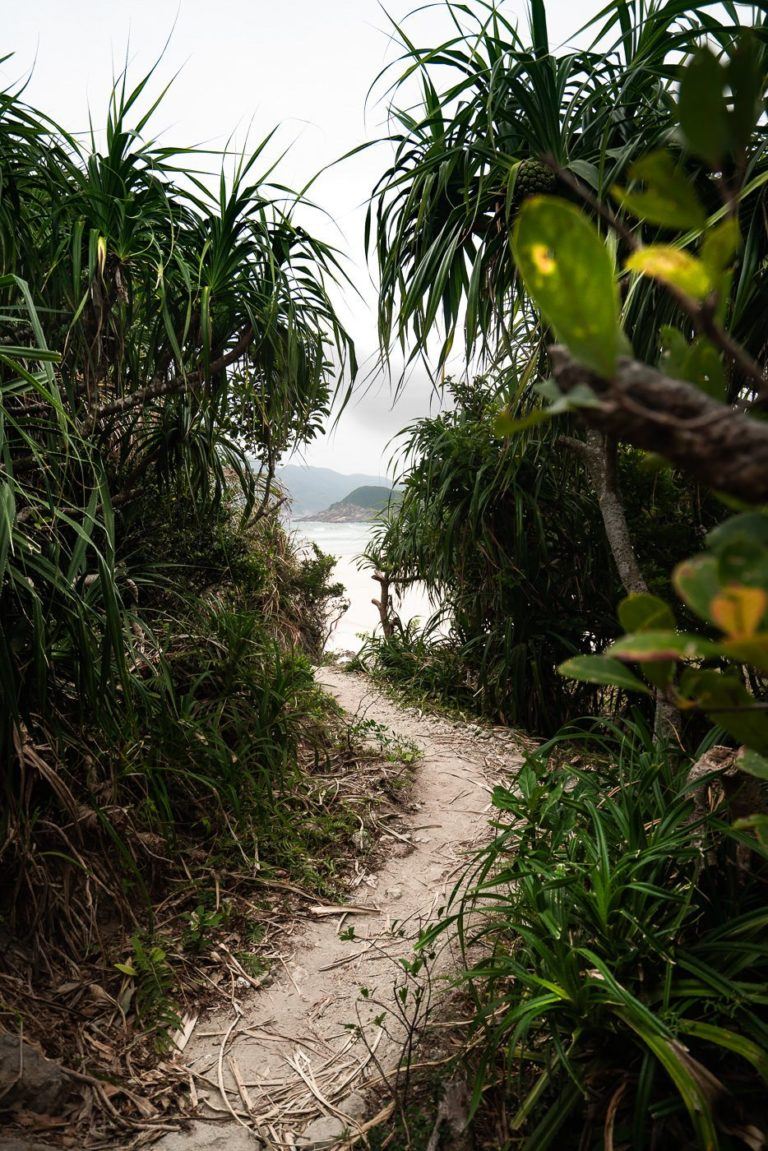 Sharp Peak Hike In Sai Kung, Hong Kong: The Hiker's Guide