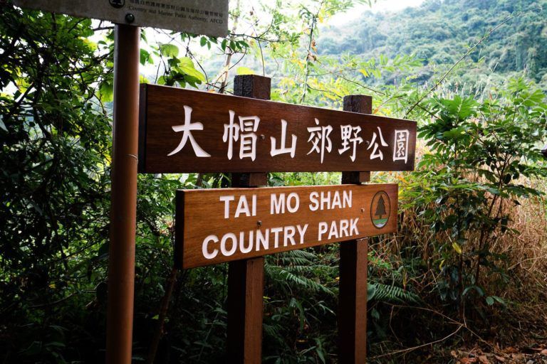 Hiking the Tai Mo Shan Trail: The Highest Peak in Hong Kong