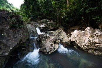 Tinubdan Falls In Catmon, Cebu: A Hidden Gem
