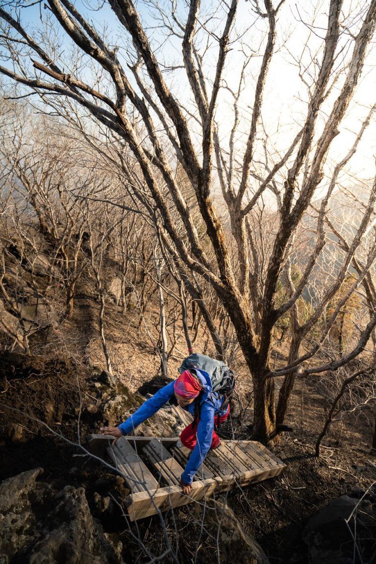 Mount Aso Volcano Hike: The Ultimate Hiker's Guide