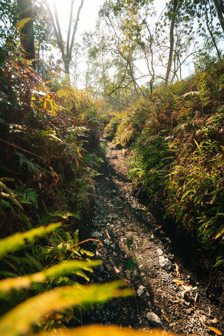 Hiking Mount Kaimon (Kaimondake) In Kagoshima, Kyushu