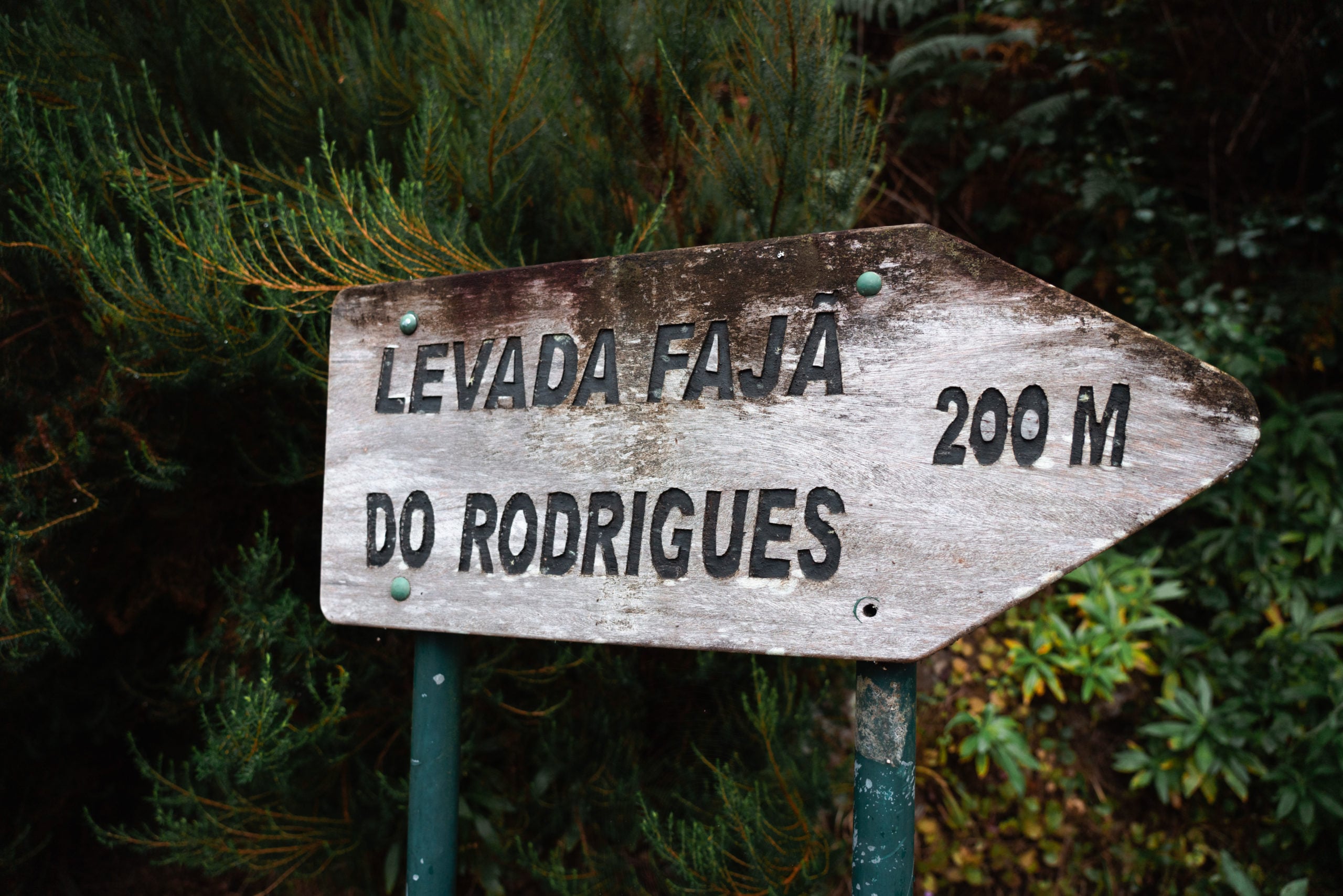 Hiking the Levada Fajã do Rodrigues Waterfall Trail on Madeira Island