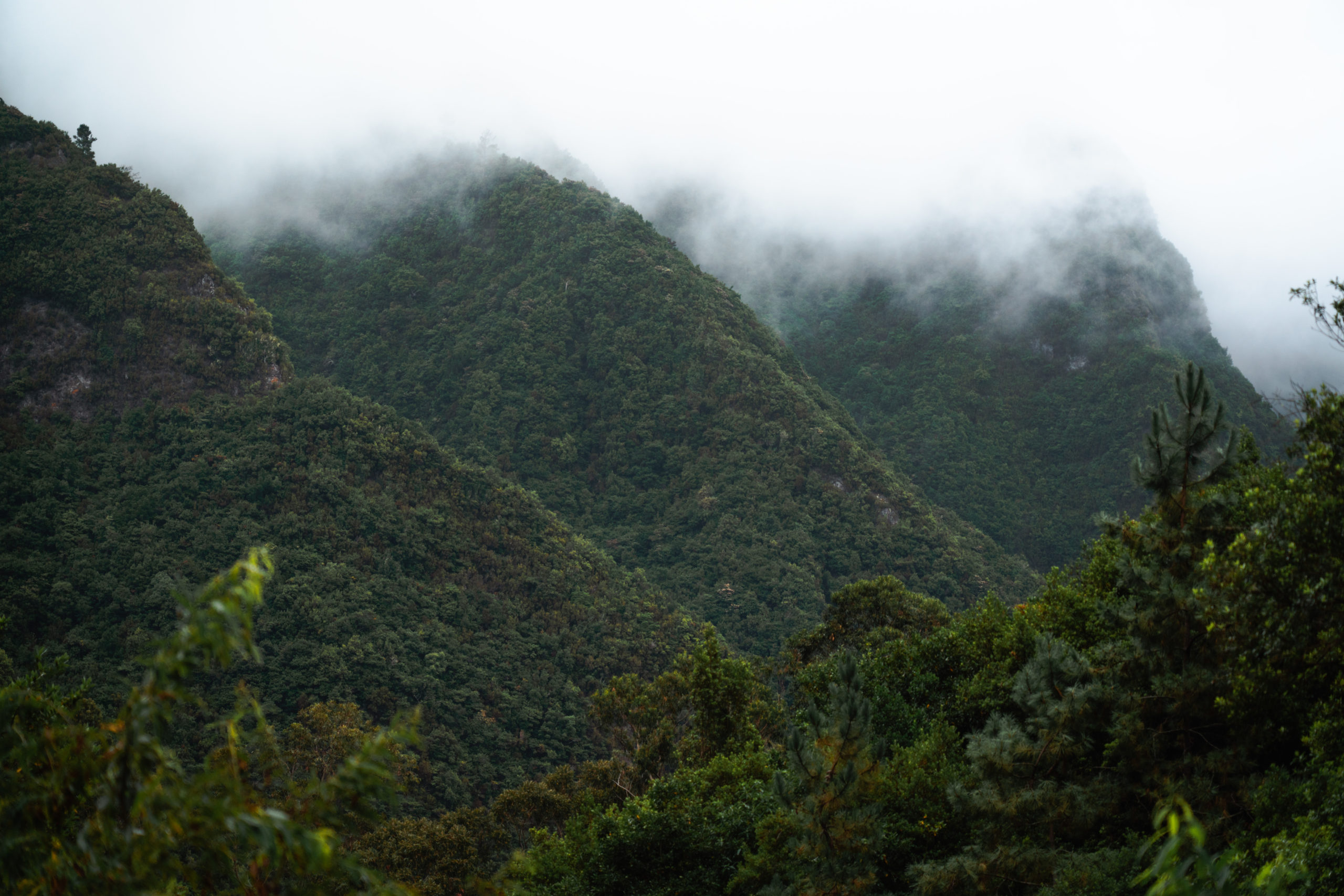 Hiking the Levada Fajã do Rodrigues Waterfall Trail on Madeira Island