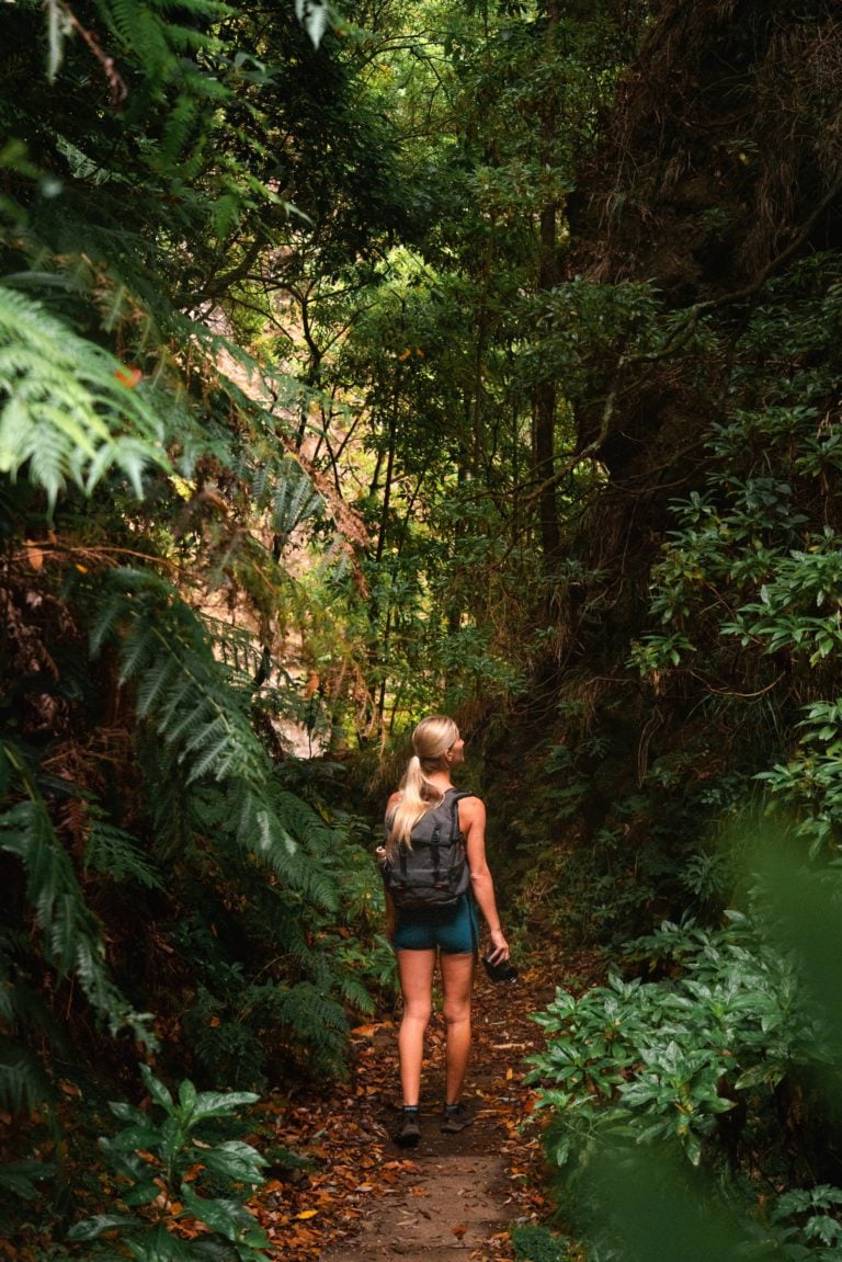 25 Best Levada Walks On Madeira: Ultimate Guide