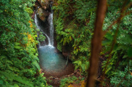 Hiking the Levada Fajã do Rodrigues Waterfall Trail on Madeira Island