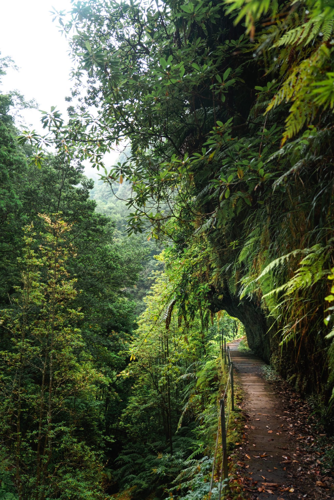 25 Best Levada Walks On Madeira: Ultimate Guide