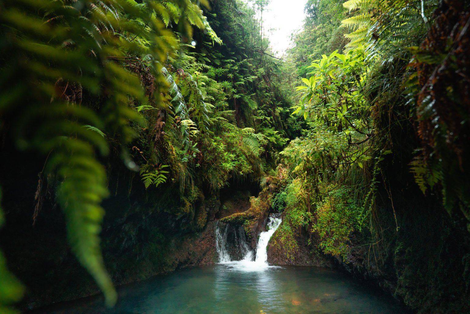 25 Best Levada Walks On Madeira: Ultimate Guide