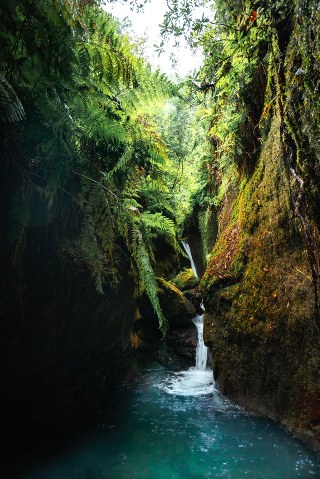 25 Best Levada Walks On Madeira: Ultimate Guide