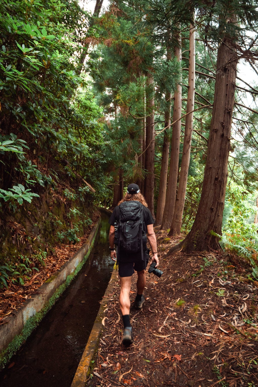 Hiking the Levada Fajã do Rodrigues Waterfall Trail on Madeira Island