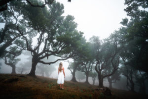 Ultimate Guide To Fanal Forest, Madeira: UNESCO World Heritage Site