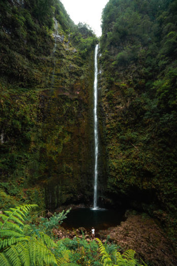 Hiking the Levada do Caldeirão Verde Trail (PR9) on Madeira Island