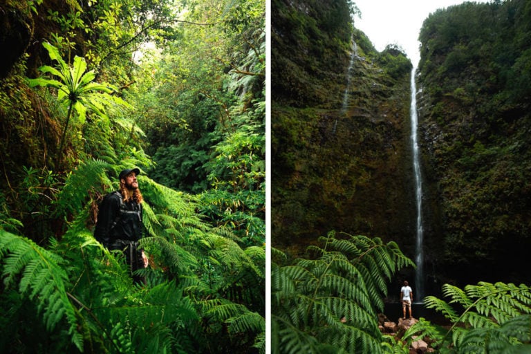 25 Best Waterfalls In Madeira: The Ultimate Guide