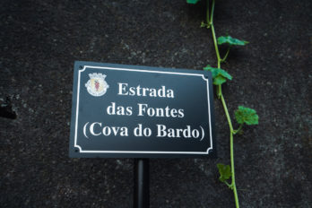Hiking the Poço Das Pulgas Waterfall Trail on Madeira Island