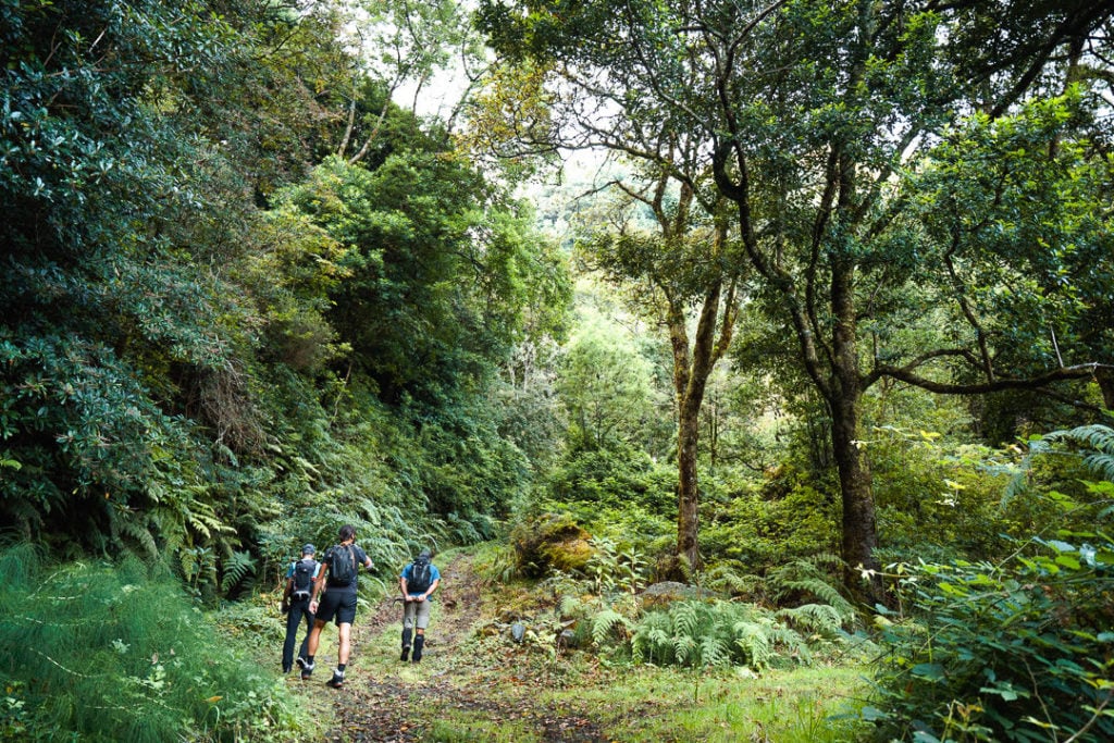 Hiking the Poço Das Pulgas Waterfall Trail on Madeira Island